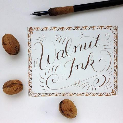 walnut drawing ink